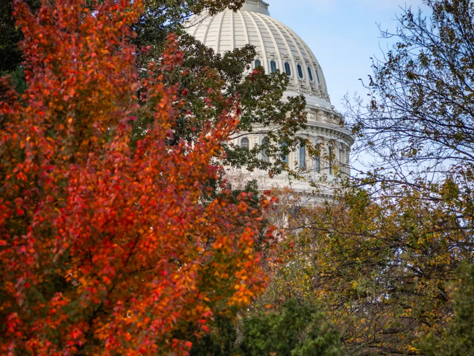 Picture Perfect: Capturing Iconic Images of the U.S. Capitol Grounds ...